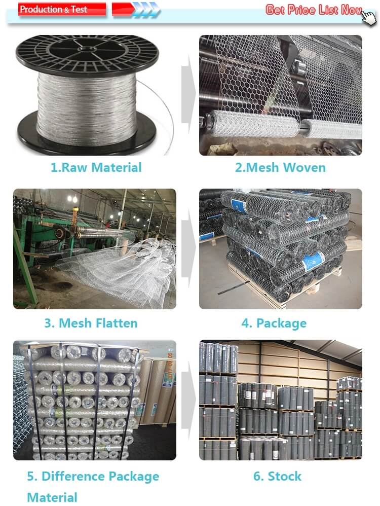 Galvanized hexagonal chicken mesh | poultry mesh | BEST